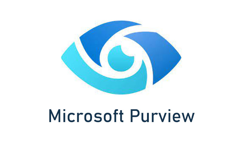 Microsoft Purview Data Governance Solutions | MSP Corp